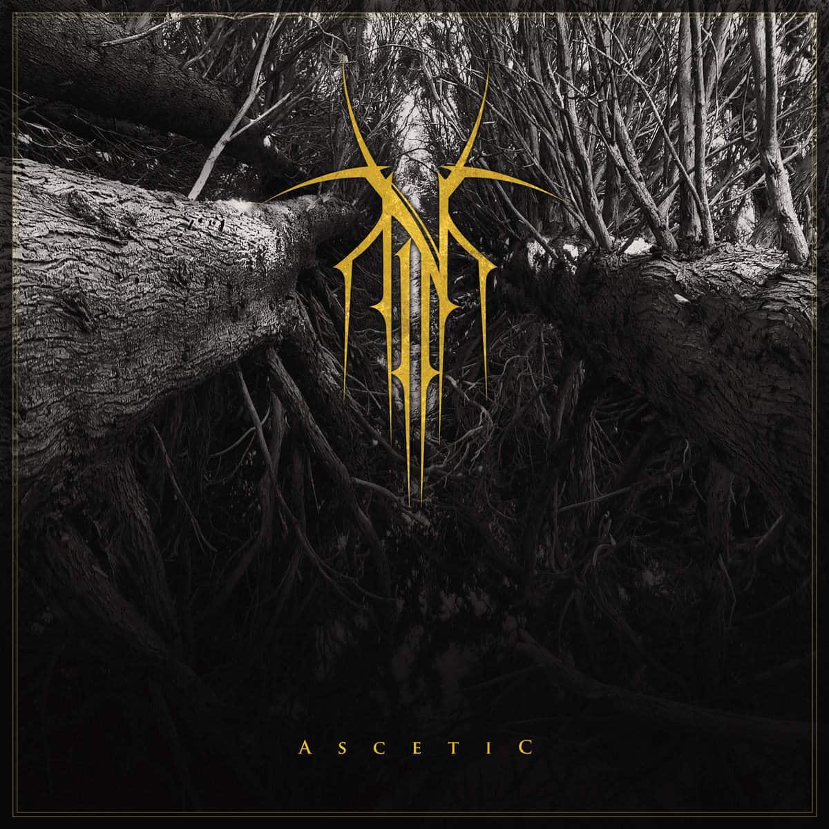 Norse – Ascetic – ARTNOIR