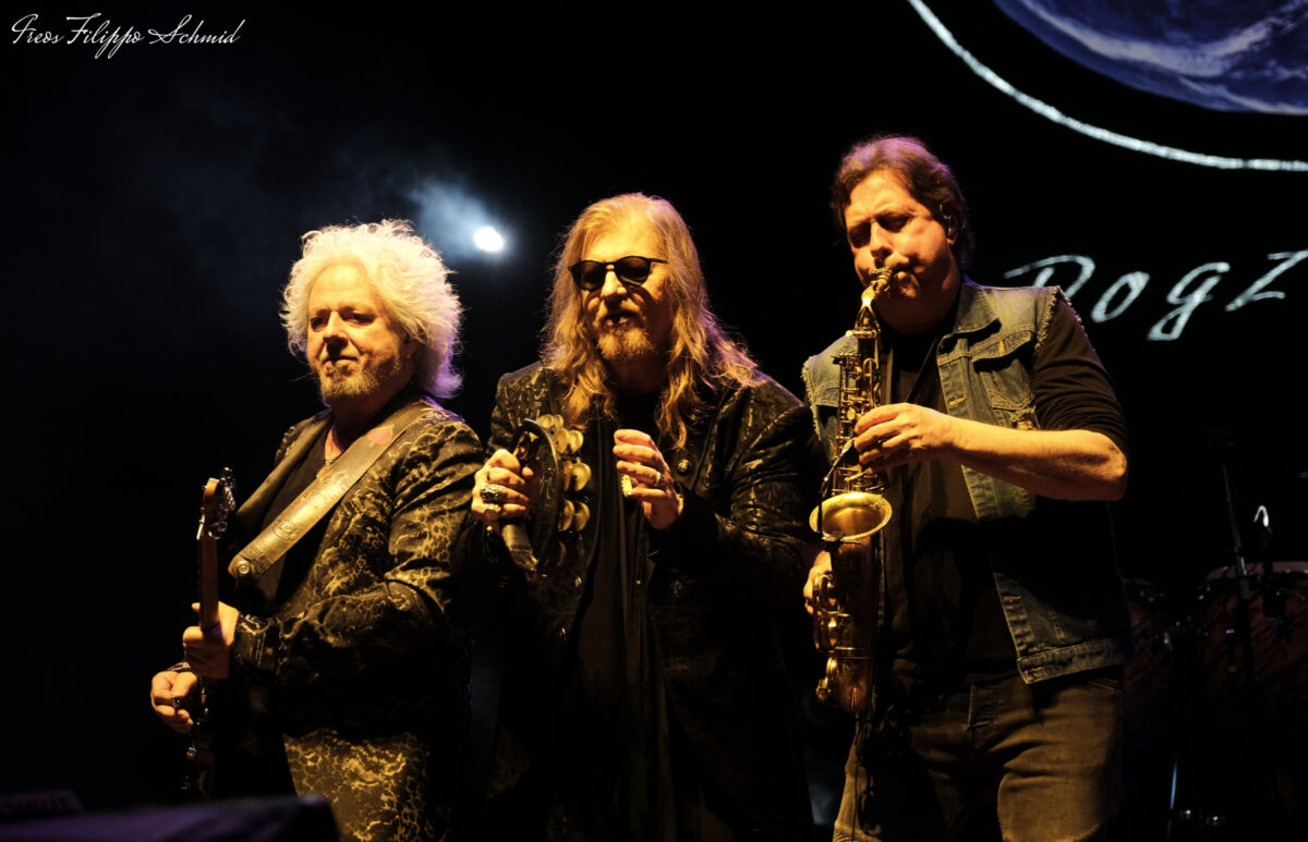 Fotoreportage | Toto – ARTNOIR